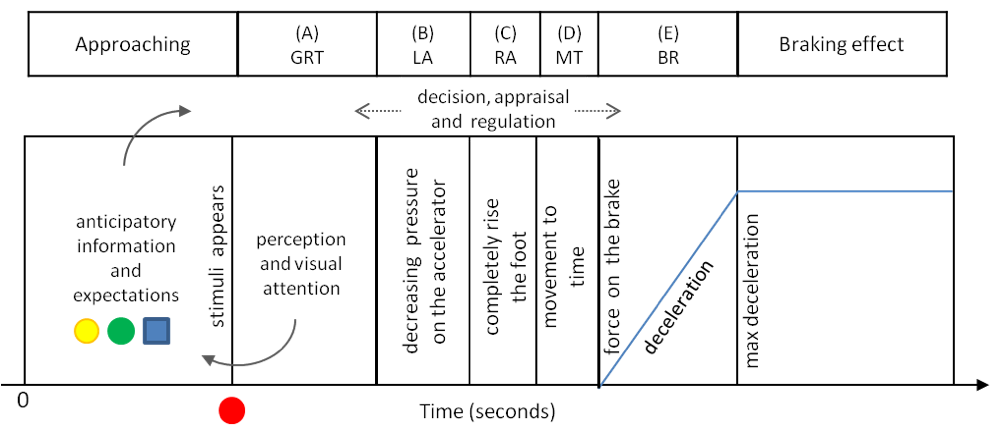 Perception-Reaction Time| Università cattolica del Sacro Cuore